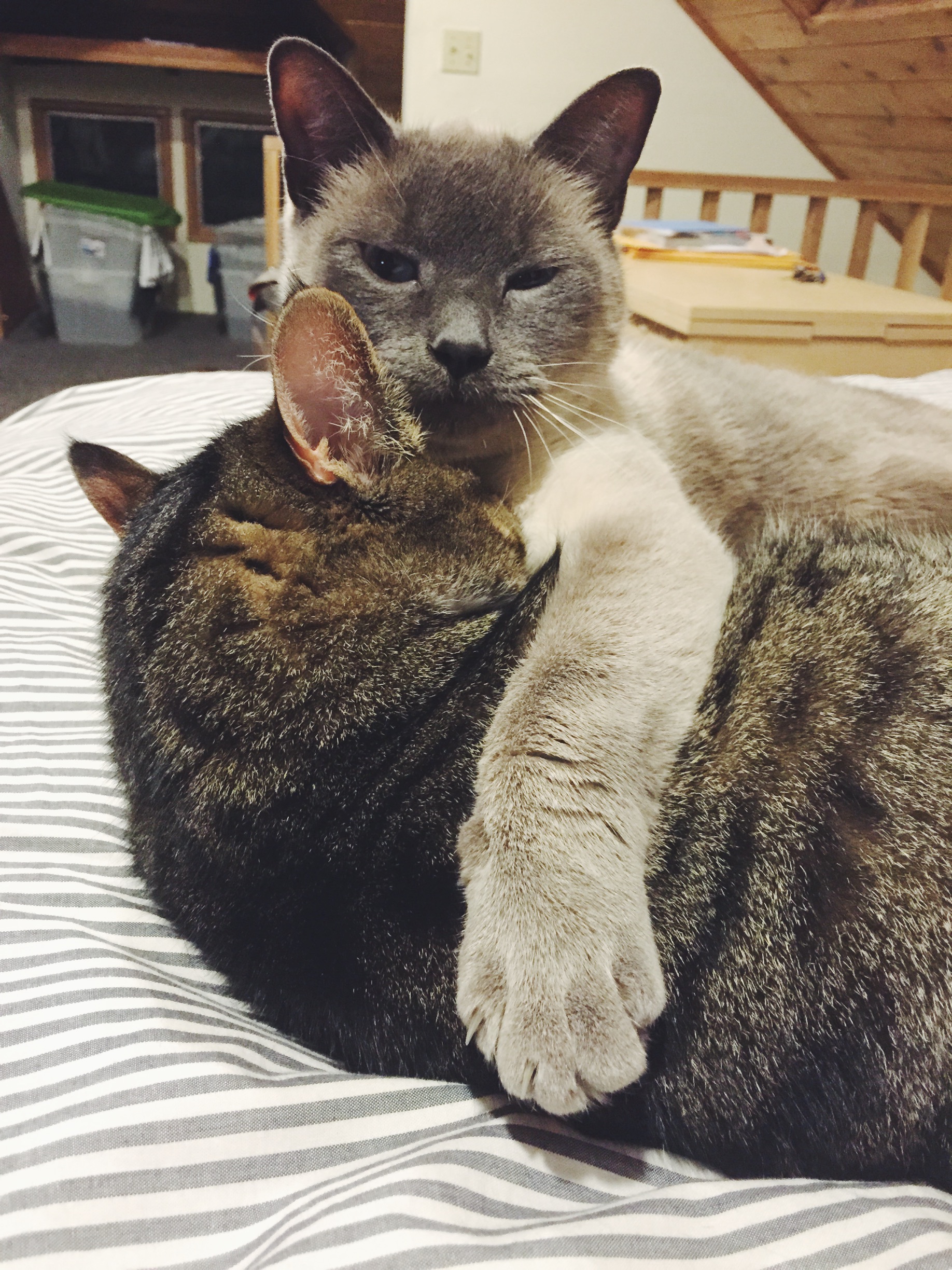 Dave Depper (Death Cab for Cutie) Talks the Unbearable Weirdness of ...