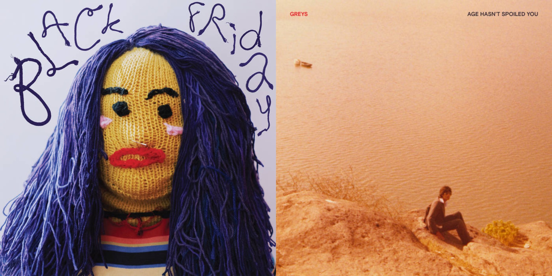 Greys See the Enchantment in the Wreckage