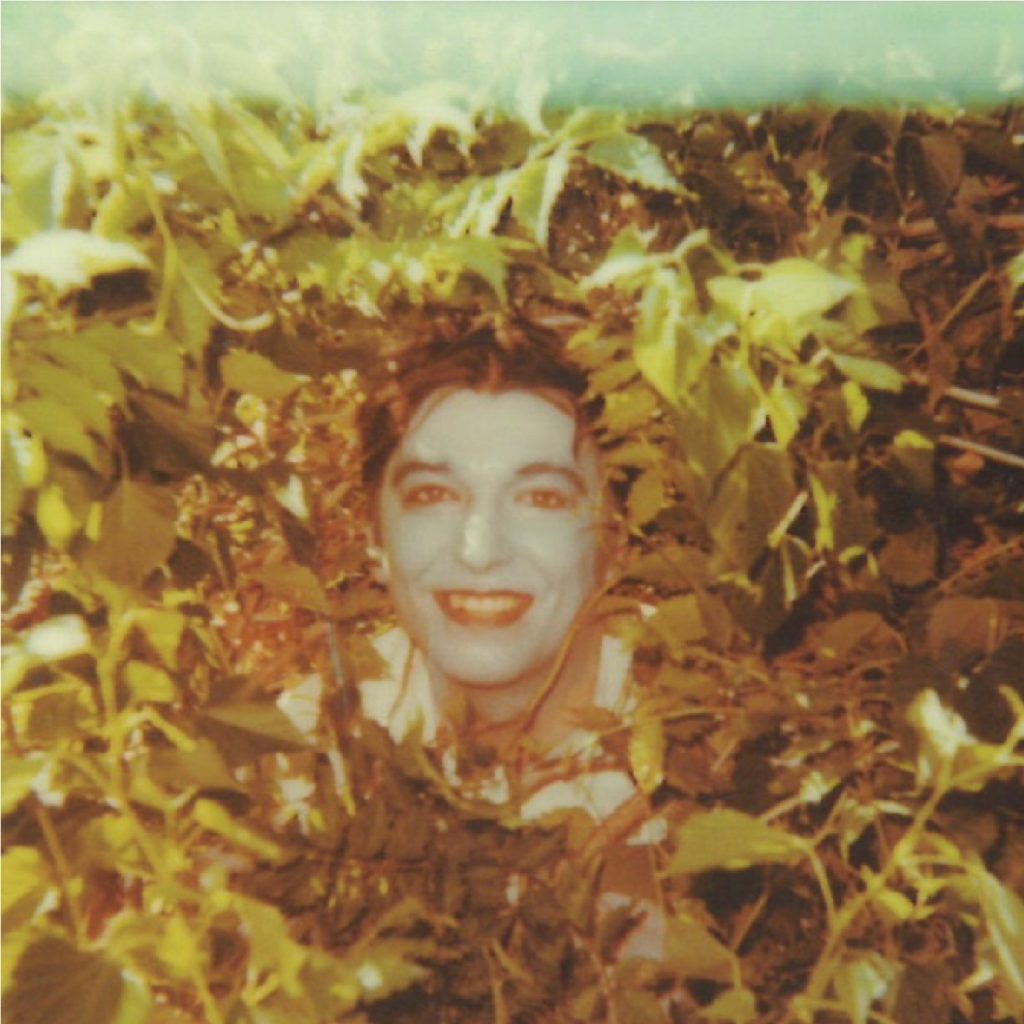 Introducing: Duff Thompson’s “Haywire”