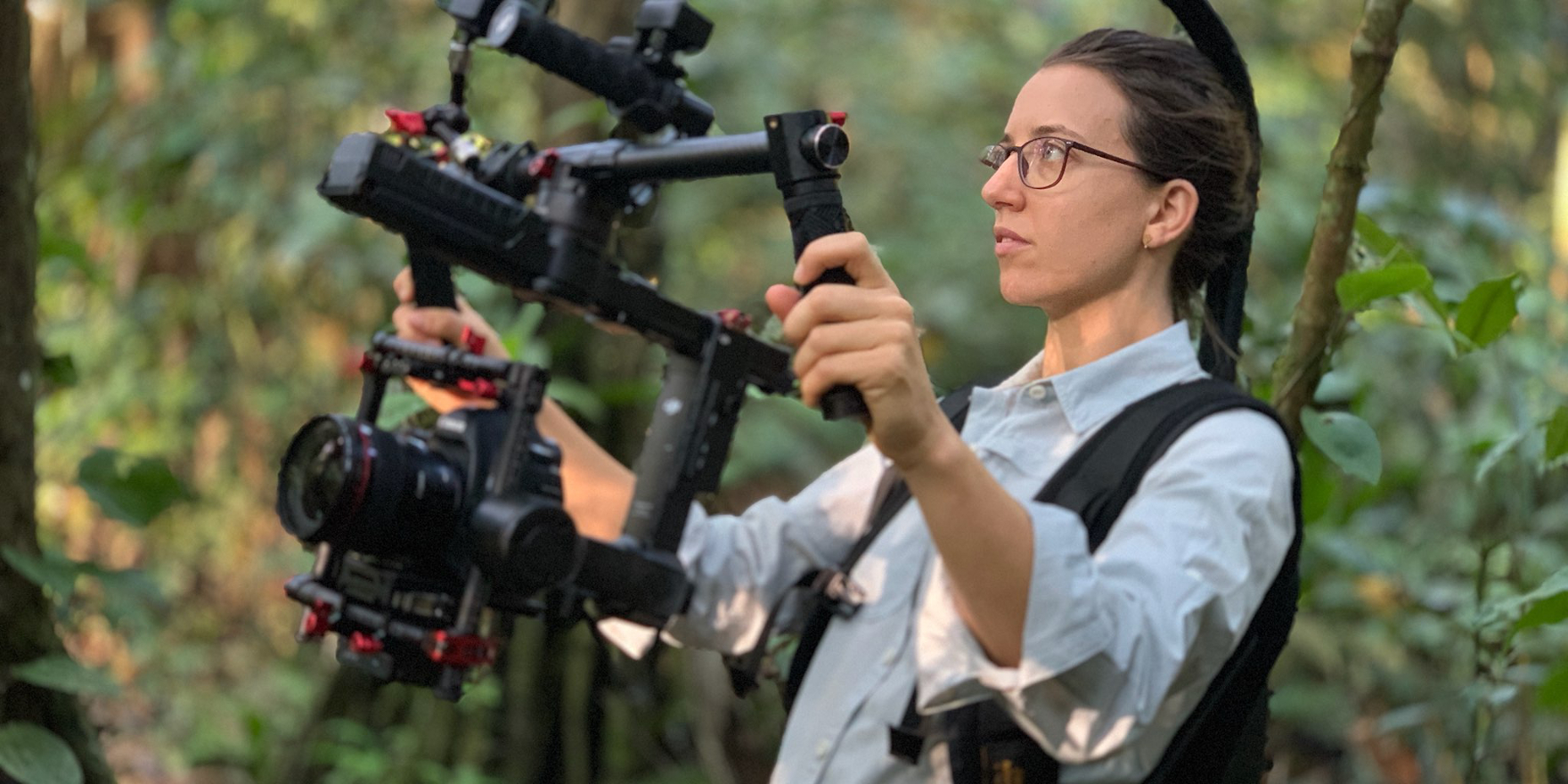 To the Rainforest’s Credit