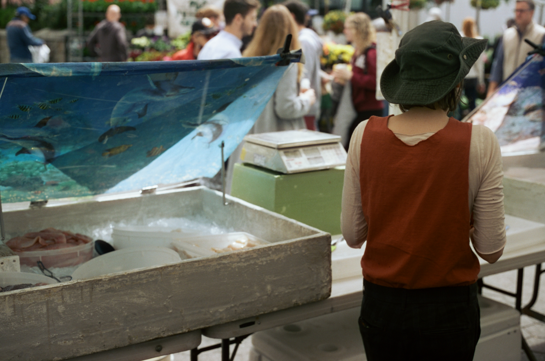 My Serendipitous Stint as Fishmonger-Filmmaker